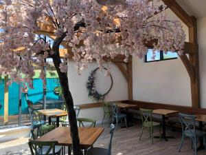 Pugh's Garden Village Radyr | VisitWales