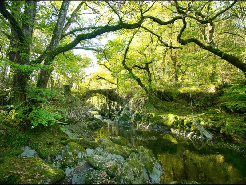 Snowdonia Slate Trail | VisitWales