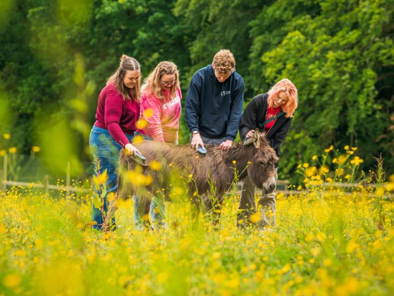 The Meadows Wildlife Park | VisitWales