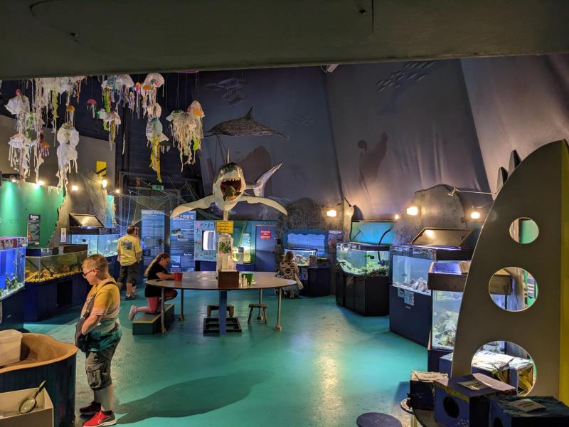 Ocean Lab | VisitWales