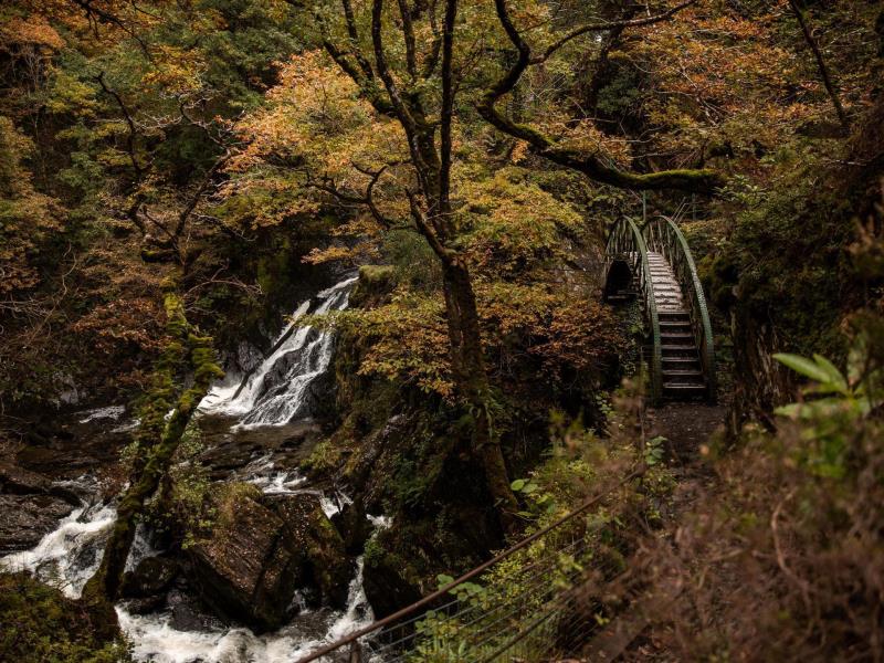 Devil's Bridge Falls | Croeso Cymru
