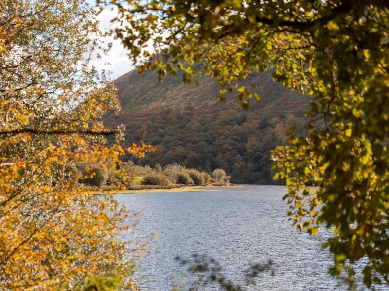 Rheidol Visitor Centre and Power Station | VisitWales