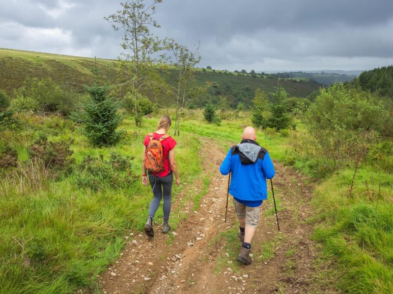 Brechfa Forest | VisitWales