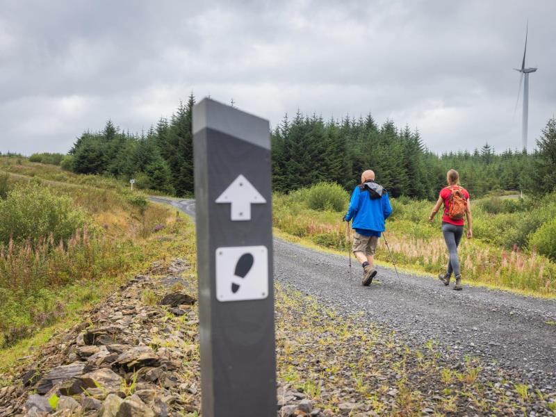 Brechfa Forest | VisitWales