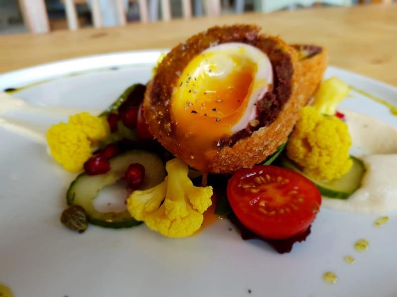 Dr Beynon's Bug Farm Ltd | VisitWales