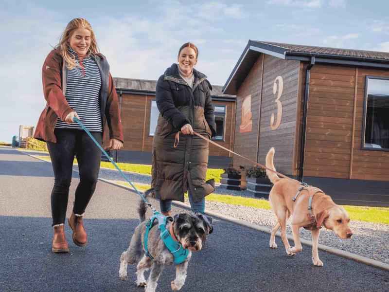 Folly Farm Holiday Park | VisitWales