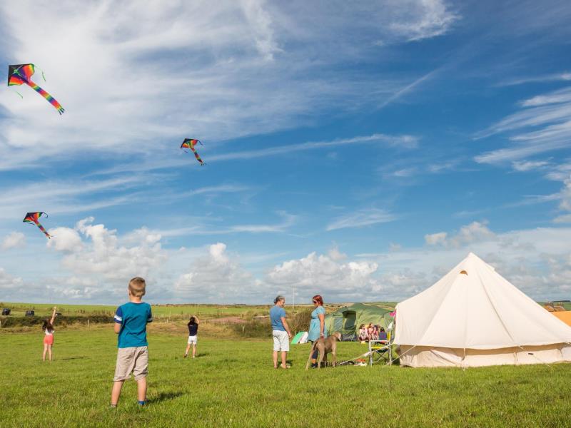 Gupton Farm Campsite | VisitWales