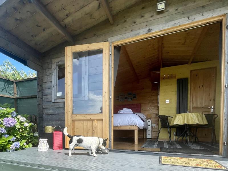 Hazel, Maple & Willow | VisitWales