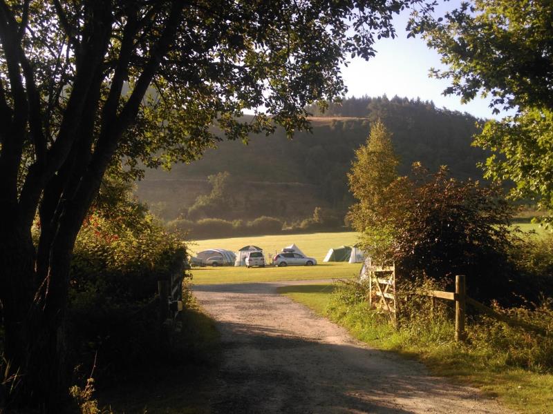 Fforest Fields Caravan & Camping Park | VisitWales